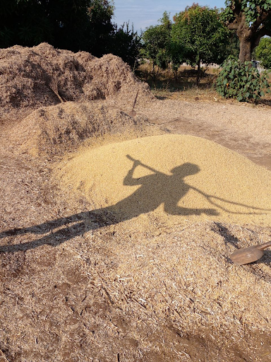 Chicken Feed Supply Value Chain Stories - L-IFT